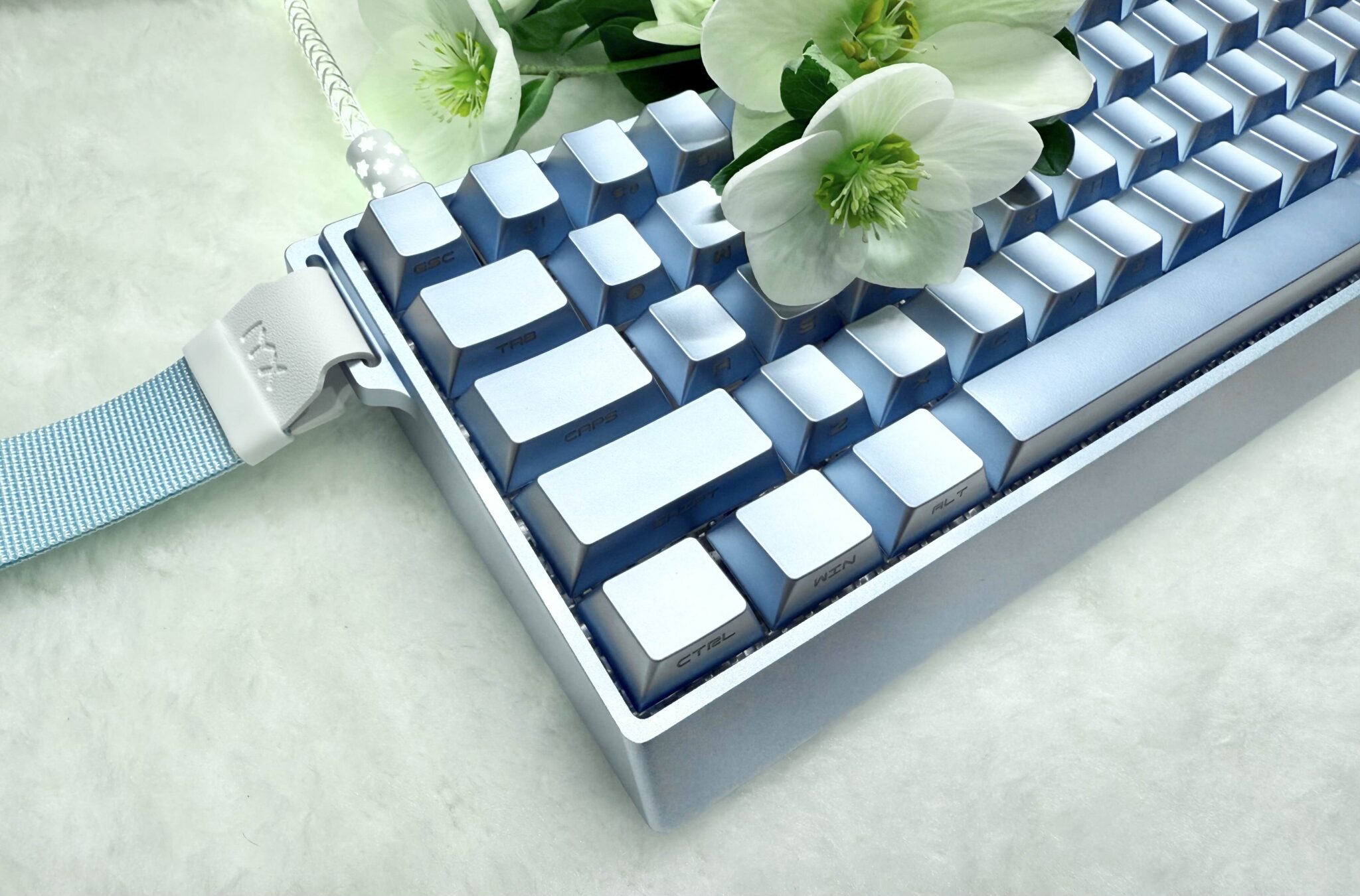 人気VTuber『しぐれうい』先生の歌声が手に入る！AI歌唱ソフト『VoiSona 雨衣』2025年発売決定🎤 | KAWAIIGAMING.TOKYO